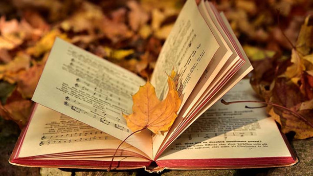 Dibalik Tirai Makna: Rangkaian Pantun Kiasan sebagai Seni Magis dalam ...